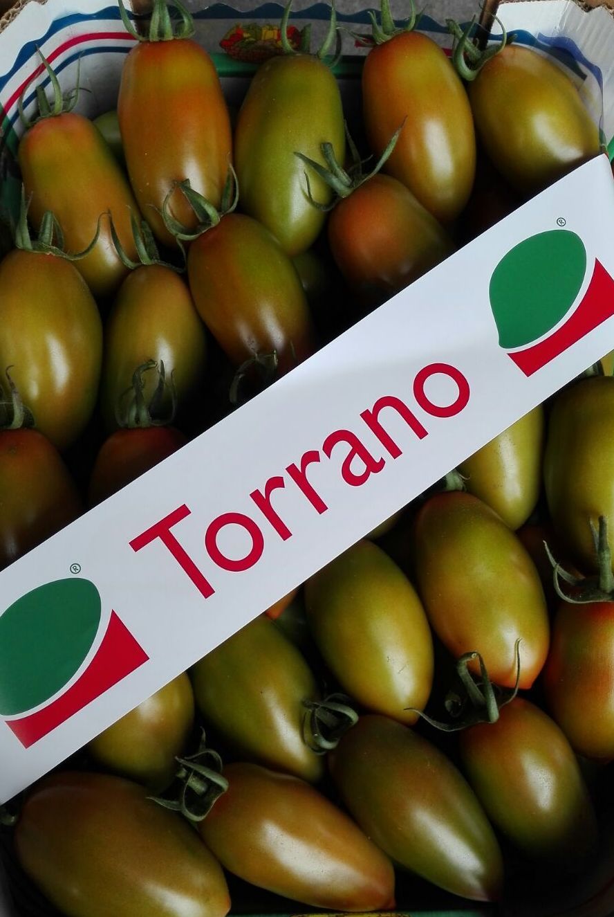 Pomodoro Torrano - Linea Professionale