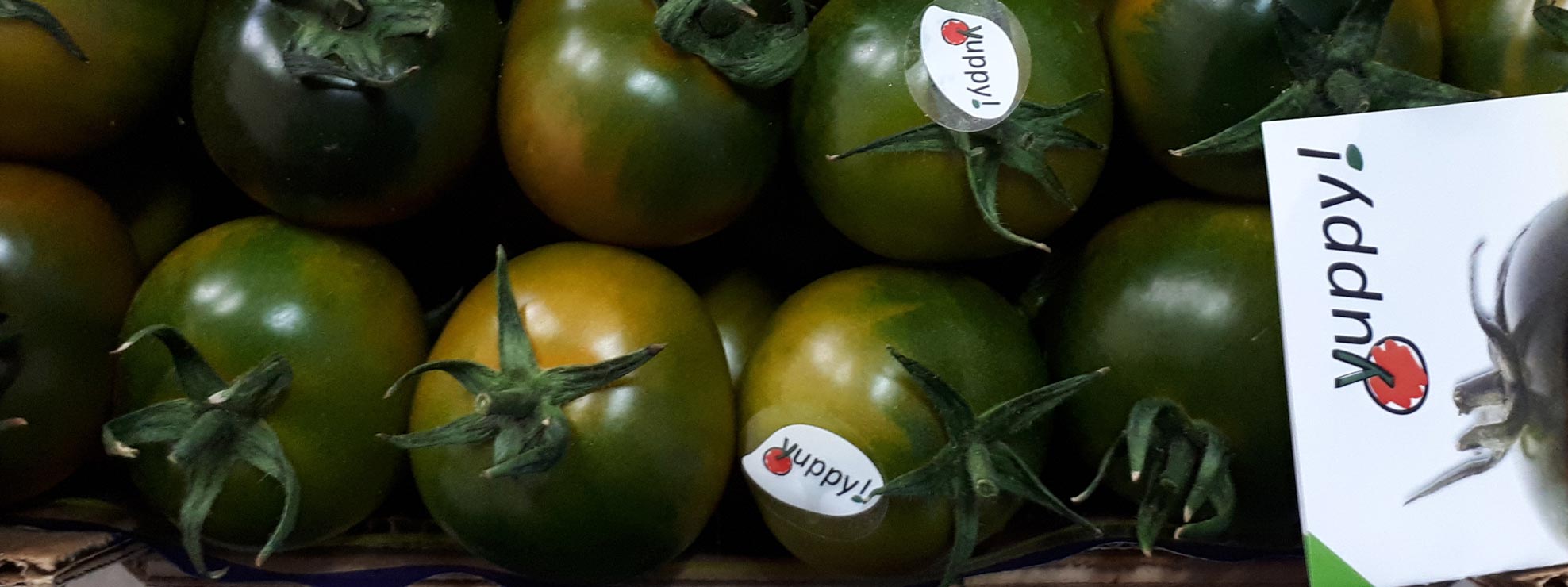 Mini Plum tomato - Yuppy! - Linea Professionale